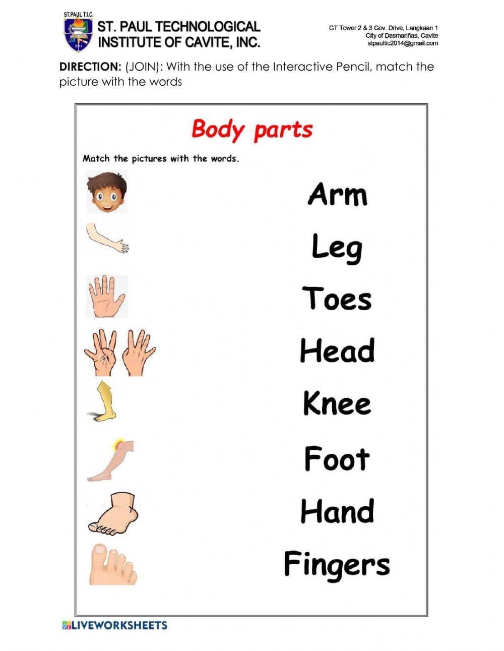 Human Body Worksheets For Kindergarten - Kindergarten Worksheets