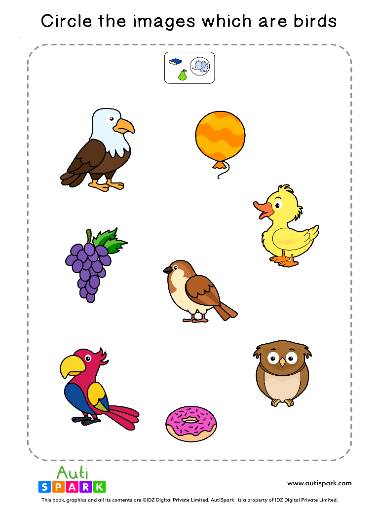 Birds Worksheet For Nursery - Kindergarten Worksheets