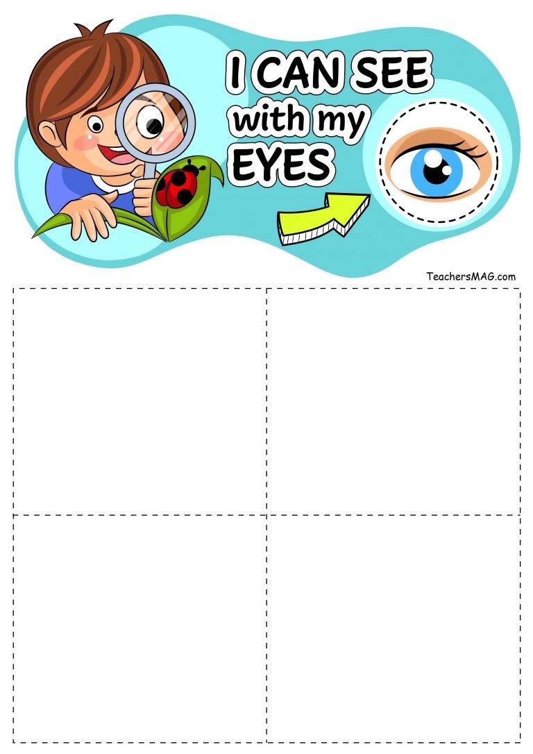 Eyes Worksheet For Kindergarten - Kindergarten Worksheets