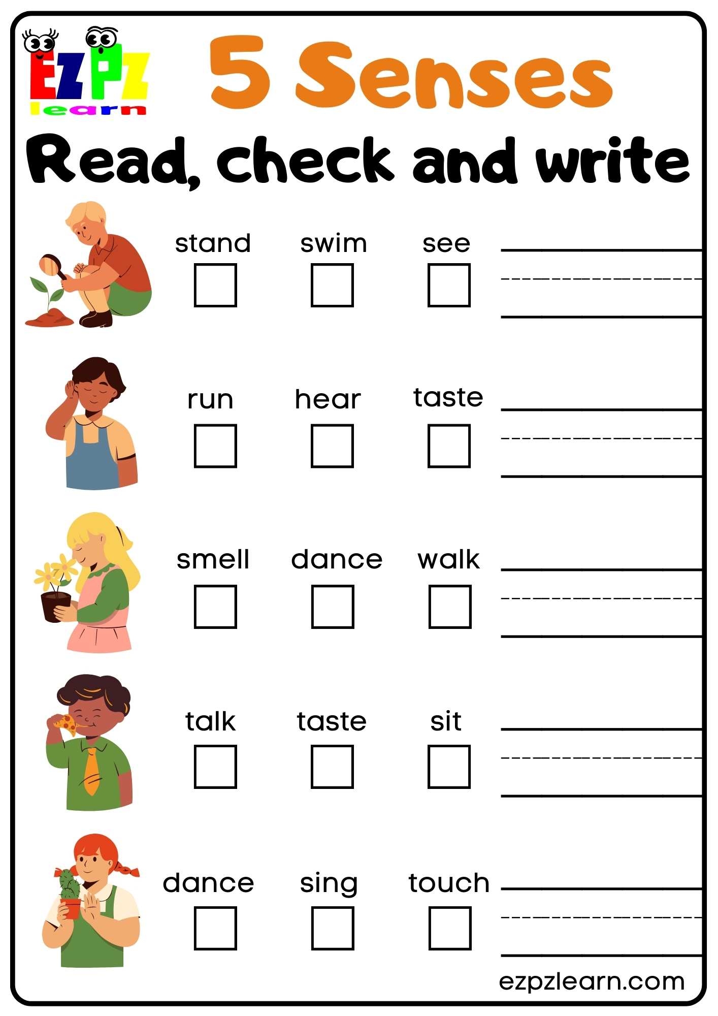 Five Senses Kindergarten Worksheet - Kindergarten Worksheets