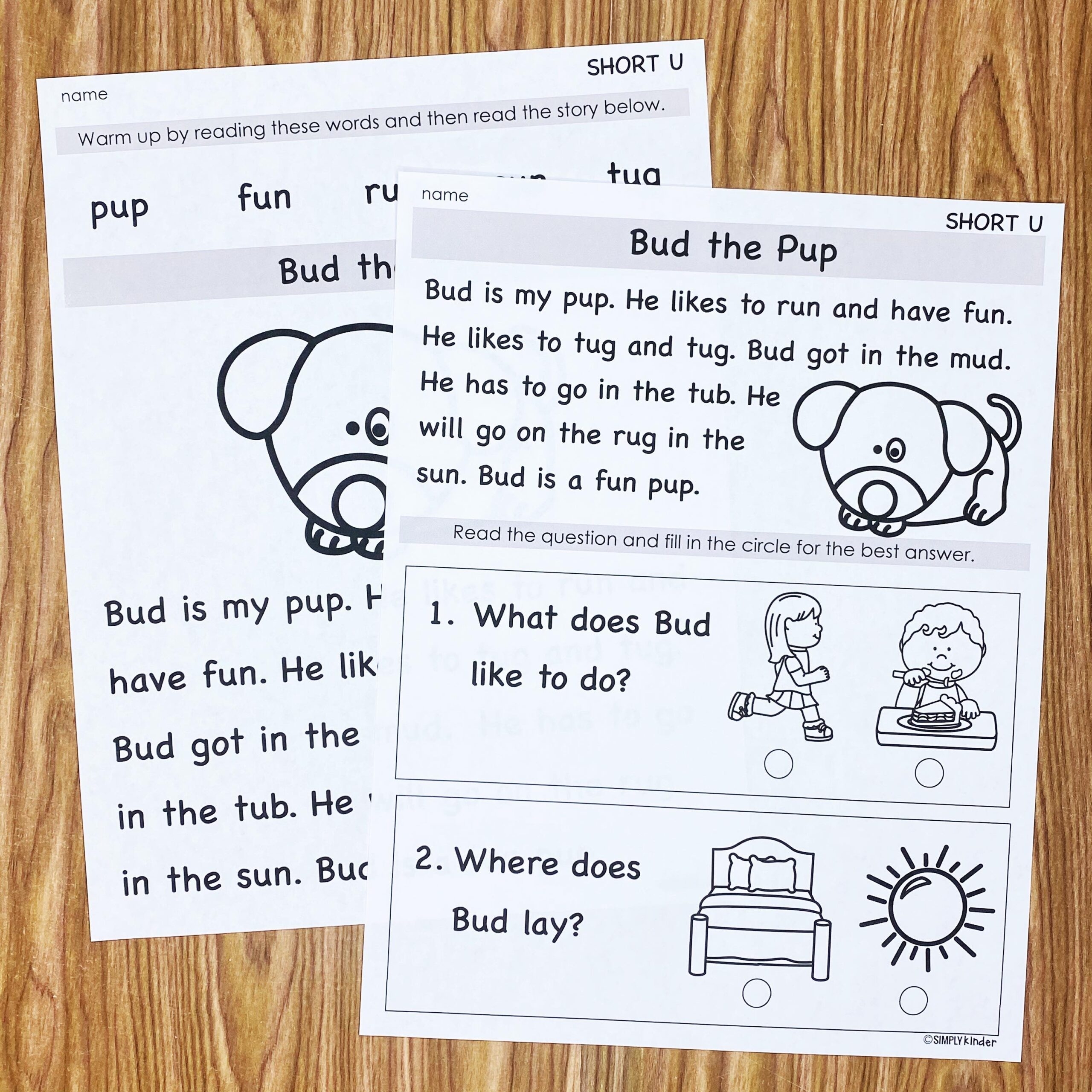 Easy Reading Passages For Kindergarten - Kindergarten Worksheets