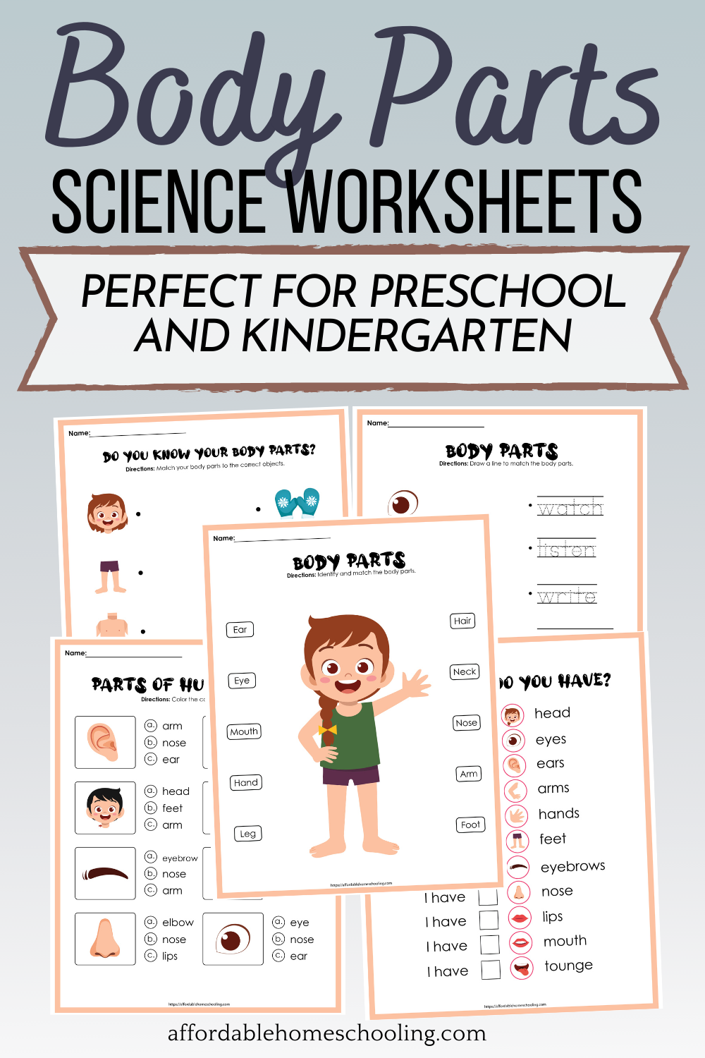 Body Parts And Their Functions For Kindergarten Worksheet ...