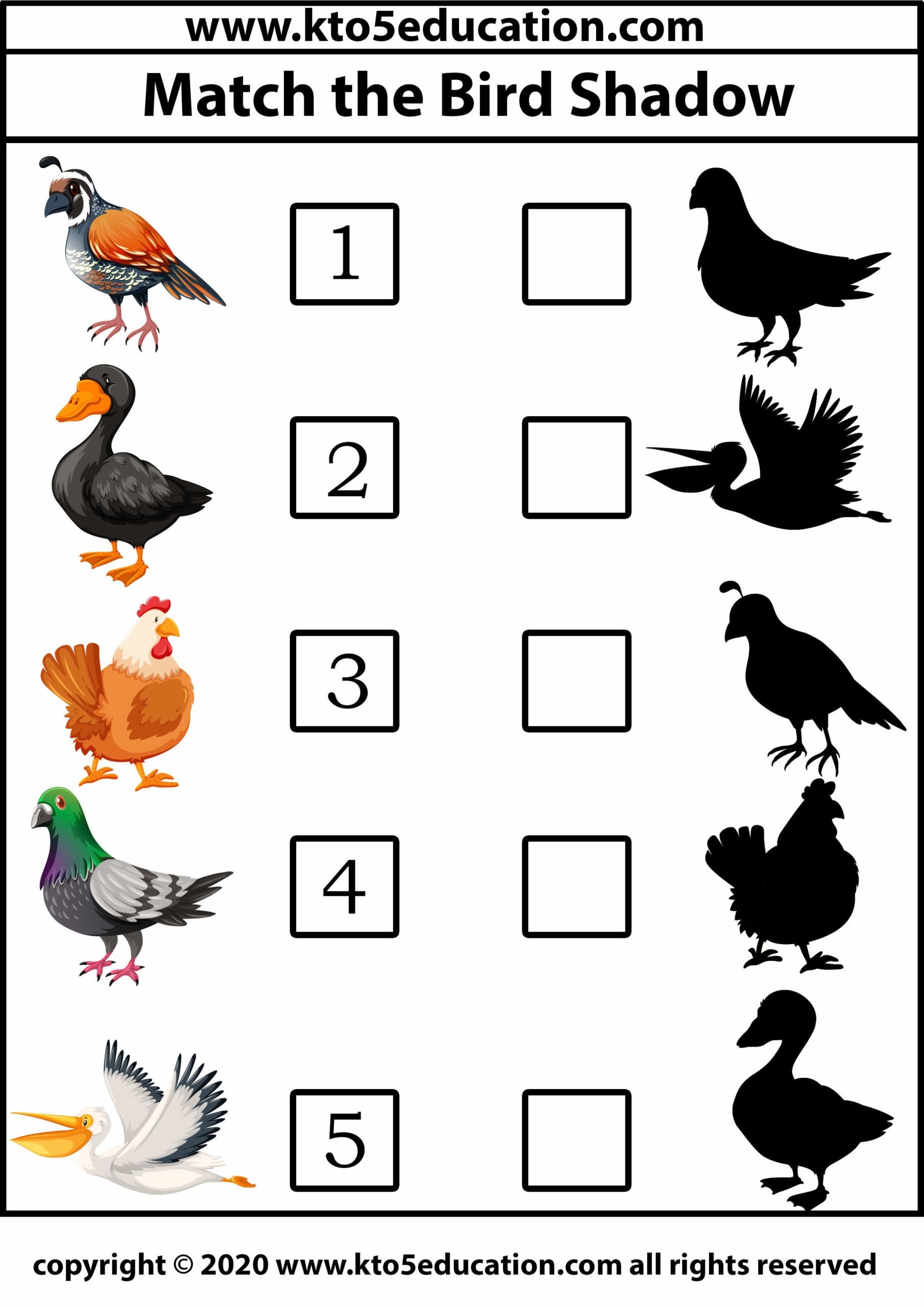 Birds Worksheet For Ukg - Kindergarten Worksheets
