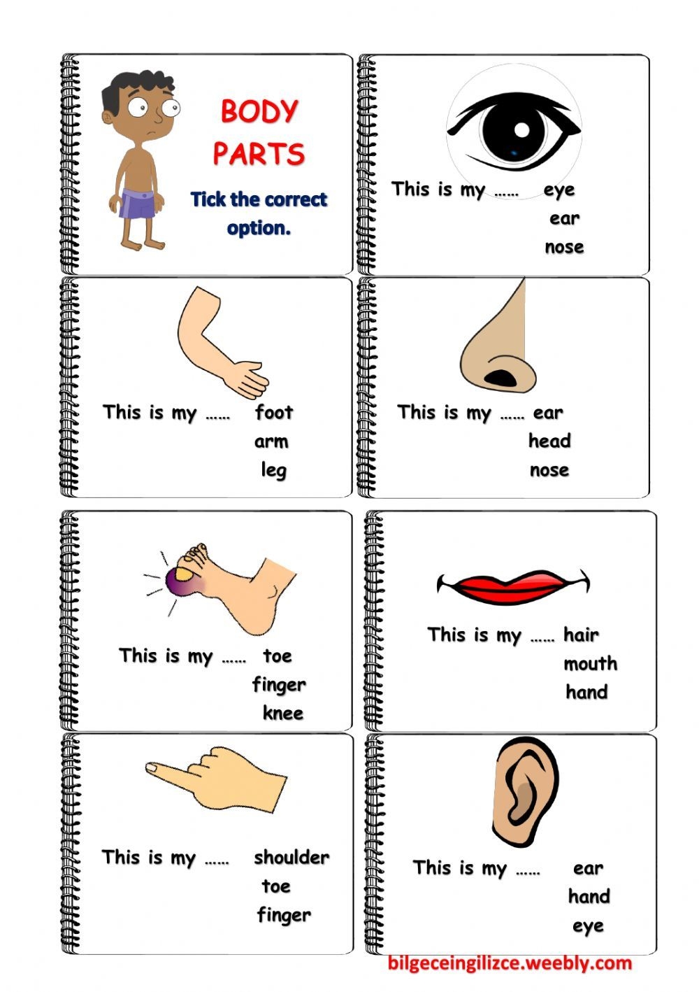 Body Parts And Their Functions For Kindergarten Worksheet ...
