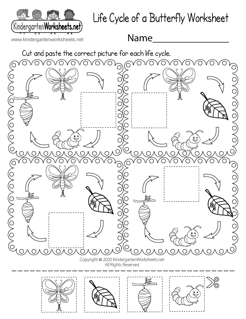 Life Cycle Of A Butterfly Kindergarten Worksheets - Kindergarten Worksheets