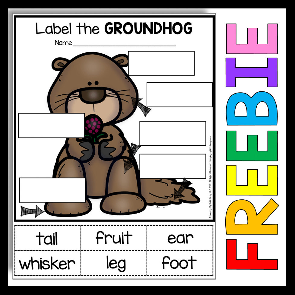 Groundhog Day Kindergarten Worksheets - Kindergarten Worksheets