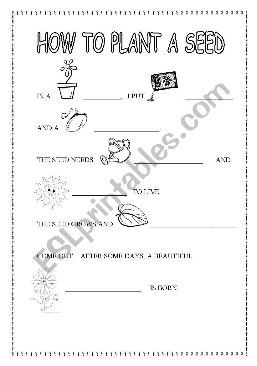 Kindergarten Steps To Planting A Seed Worksheets - Kindergarten Worksheets