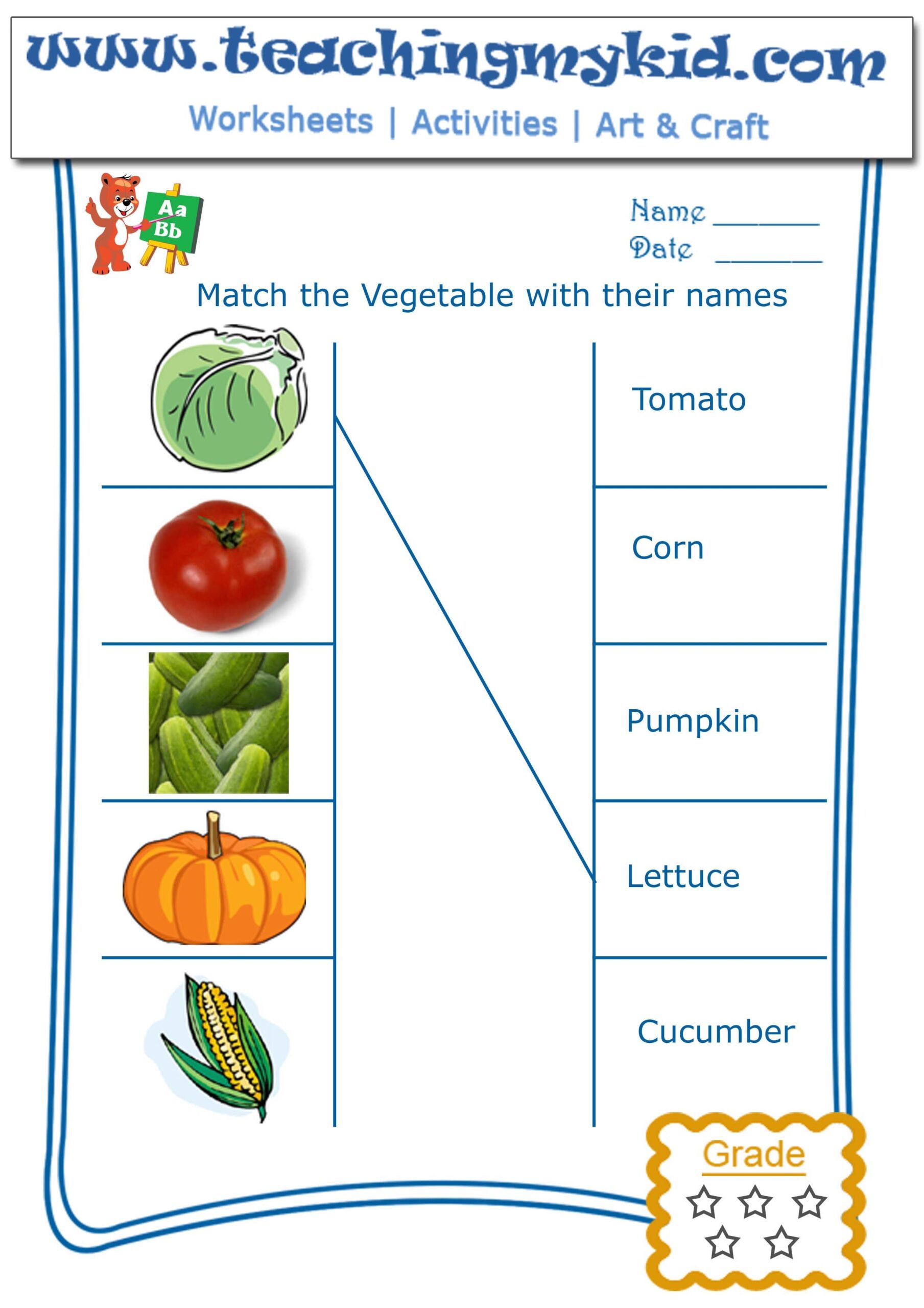 Matching Vegetables Worksheets For Kindergarten - Kindergarten Worksheets