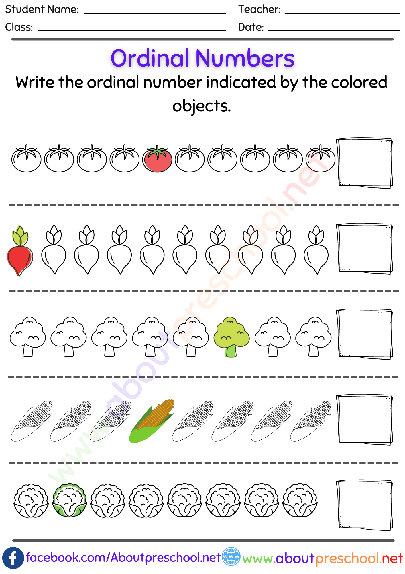 Ordinal Numbers For Kindergarten Worksheets - Kindergarten Worksheets