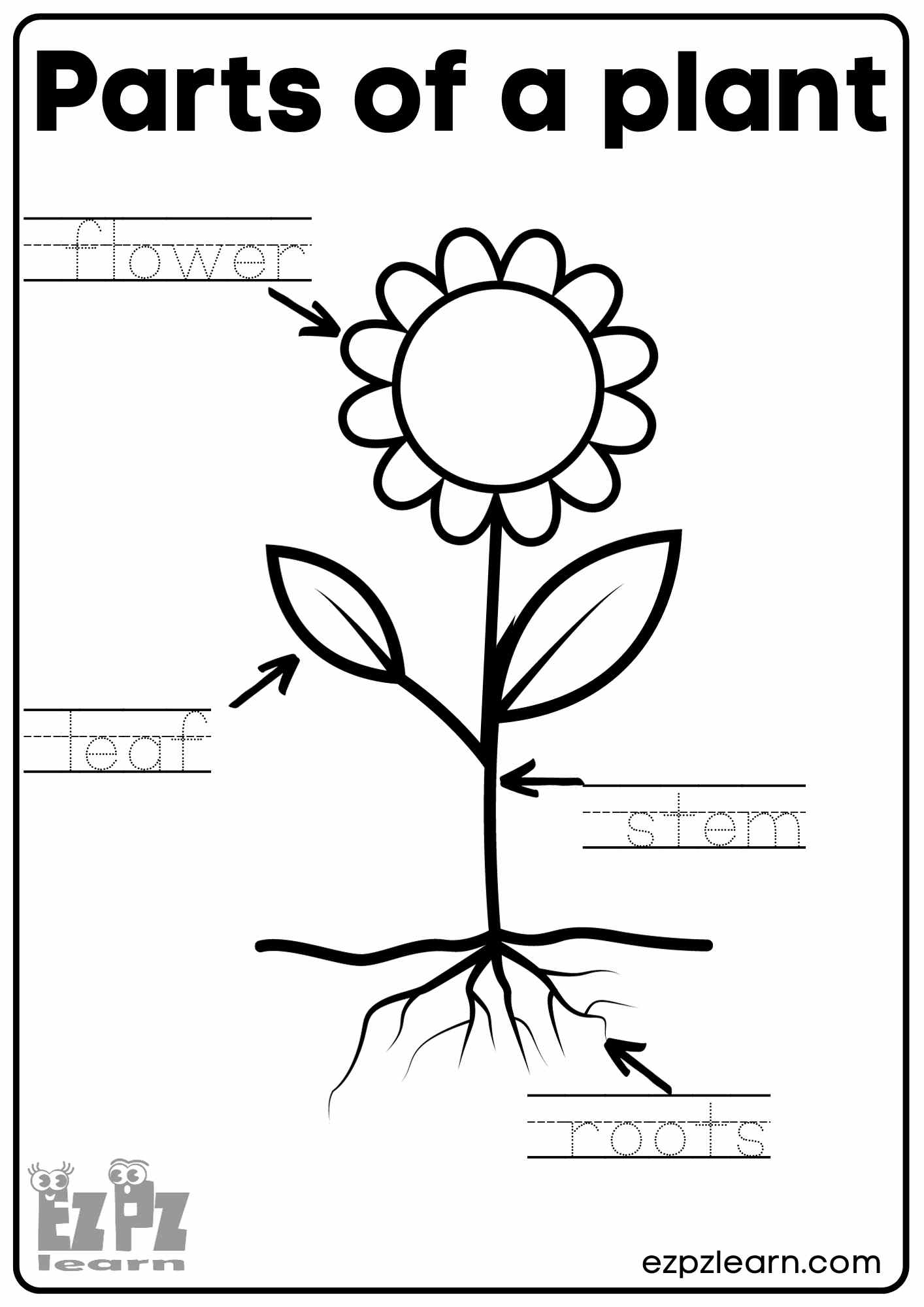 Parts Of A Plant For Kindergarten Worksheets - Kindergarten Worksheets