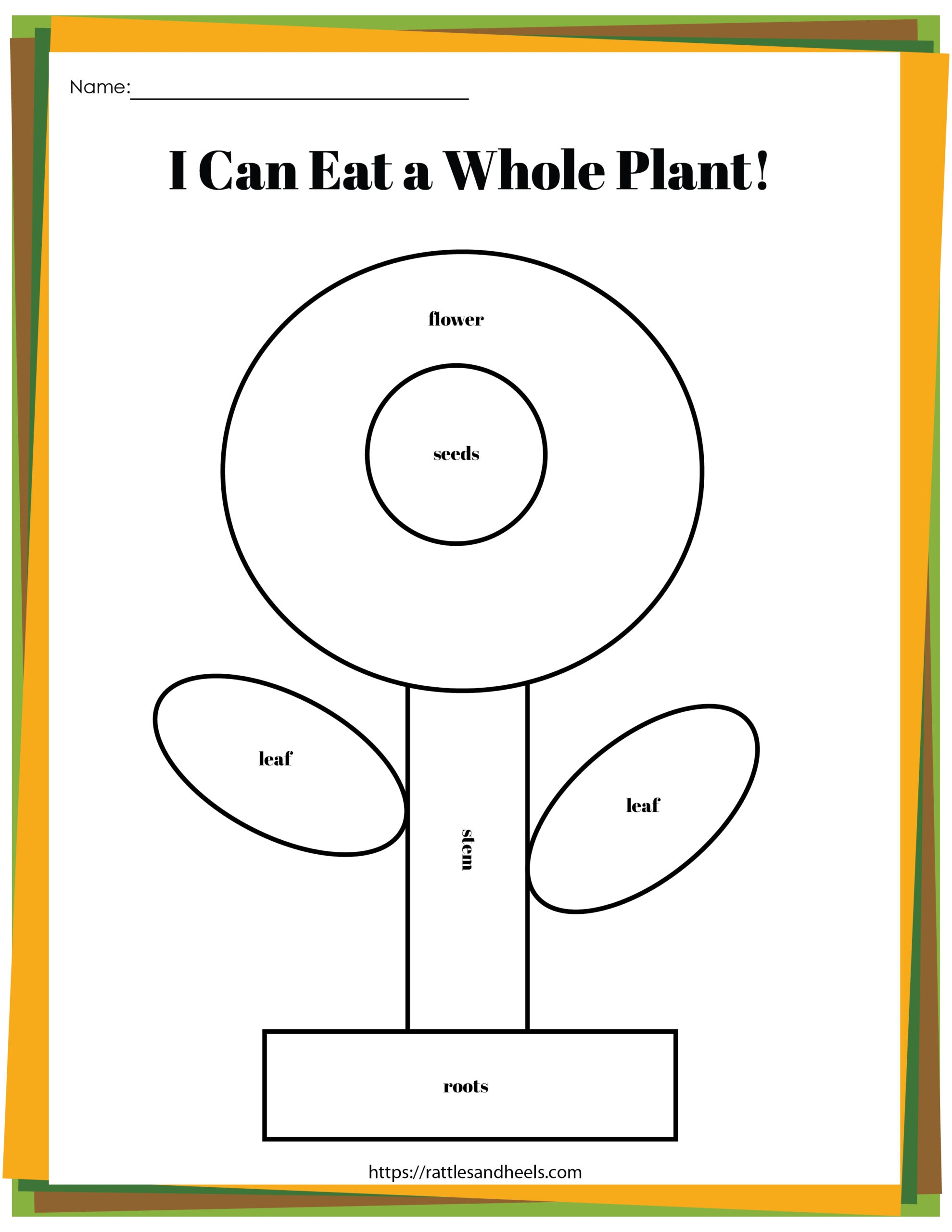Plants Worksheets For Kindergarten - Kindergarten Worksheets