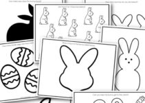 Equal And Not Equal Worksheets For Kindergarten - Kindergarten Worksheets