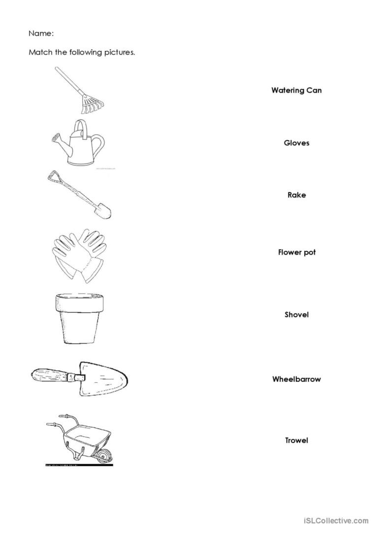 Garden Worksheets For Kindergarten - Kindergarten Worksheets