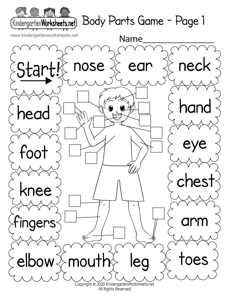 Human Body Worksheets For Kindergarten - Kindergarten Worksheets