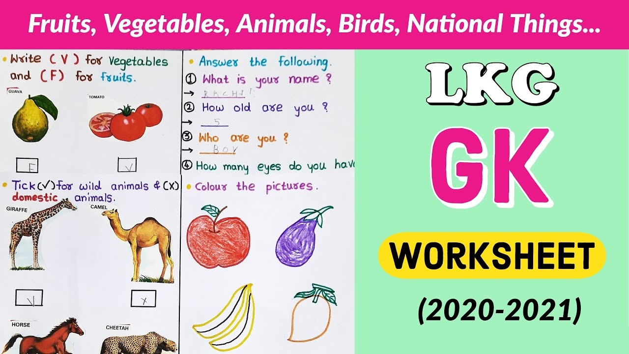 Gk Worksheet For Jr Kg - Kindergarten Worksheets
