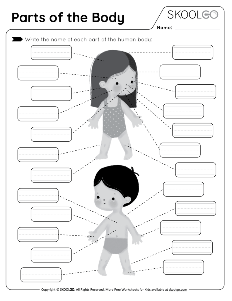Body Parts Kindergarten Worksheet - Kindergarten Worksheets