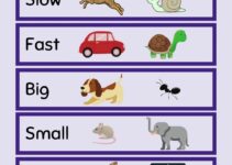 Cut And Paste Worksheets For Kindergarten - Kindergarten Worksheets