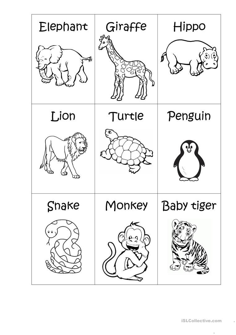 English Worksheets For Kindergarten Animals - Kindergarten Worksheets