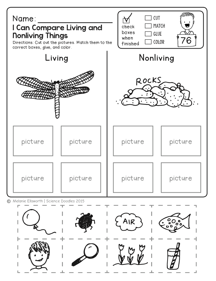 Kindergarten Worksheets Science Printables - Kindergarten Worksheets