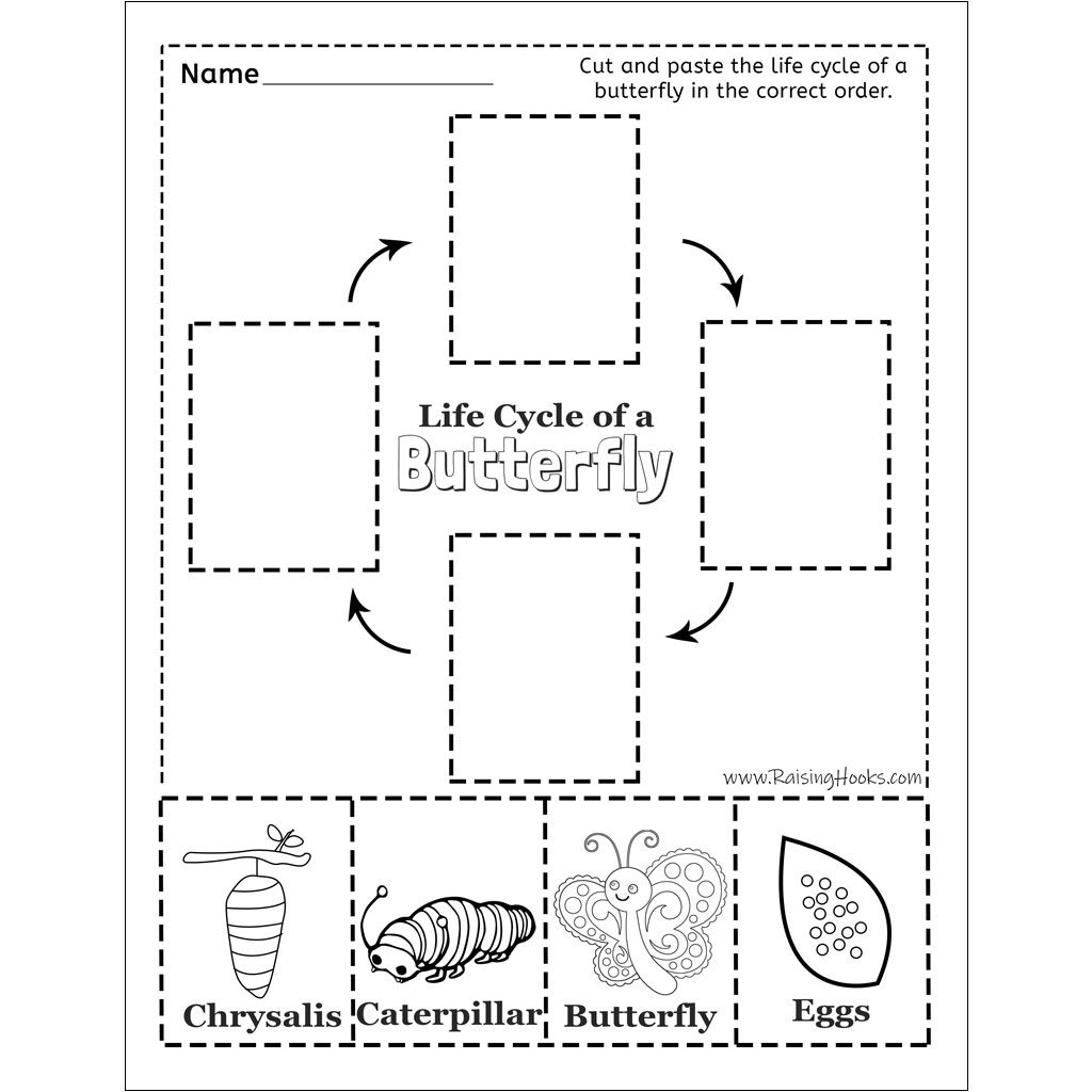 Butterfly Life Cycle For Kindergarten Worksheets - Kindergarten Worksheets