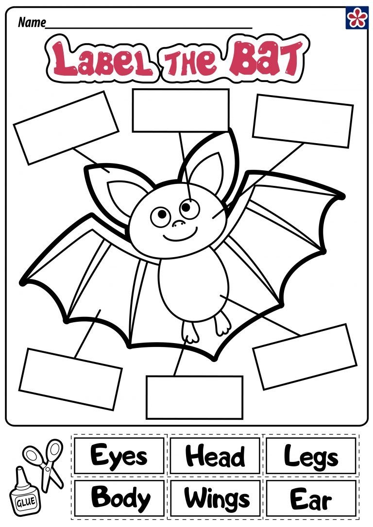 Bat Worksheets For Kindergarten - Kindergarten Worksheets