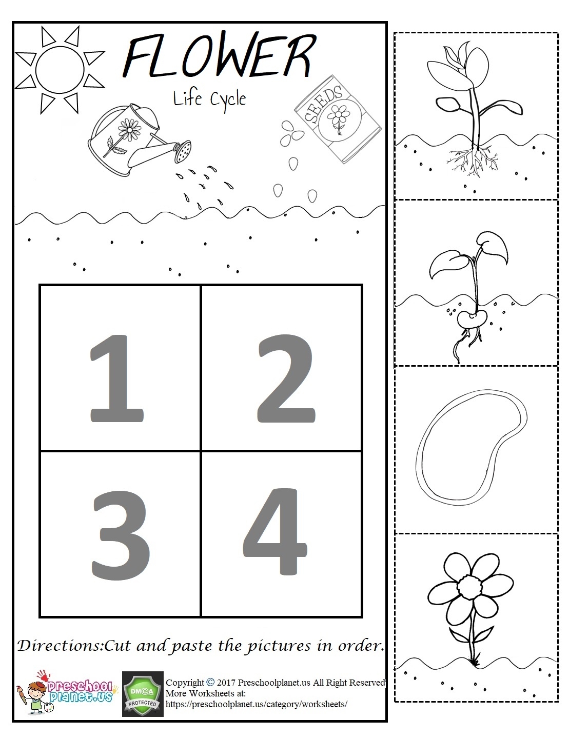 Flowers Worksheets For Kindergarten - Kindergarten Worksheets